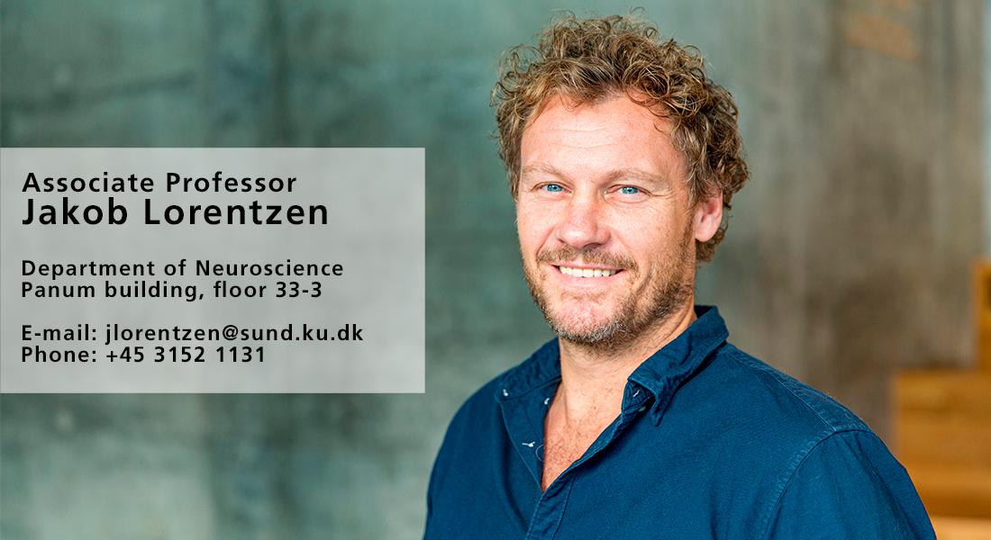 Lorentzen Lab – University of Copenhagen